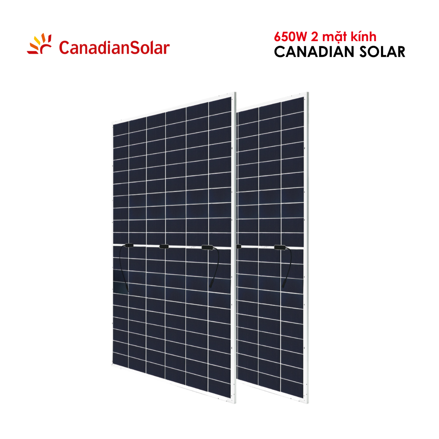 Tấm pin Canadian 650w
